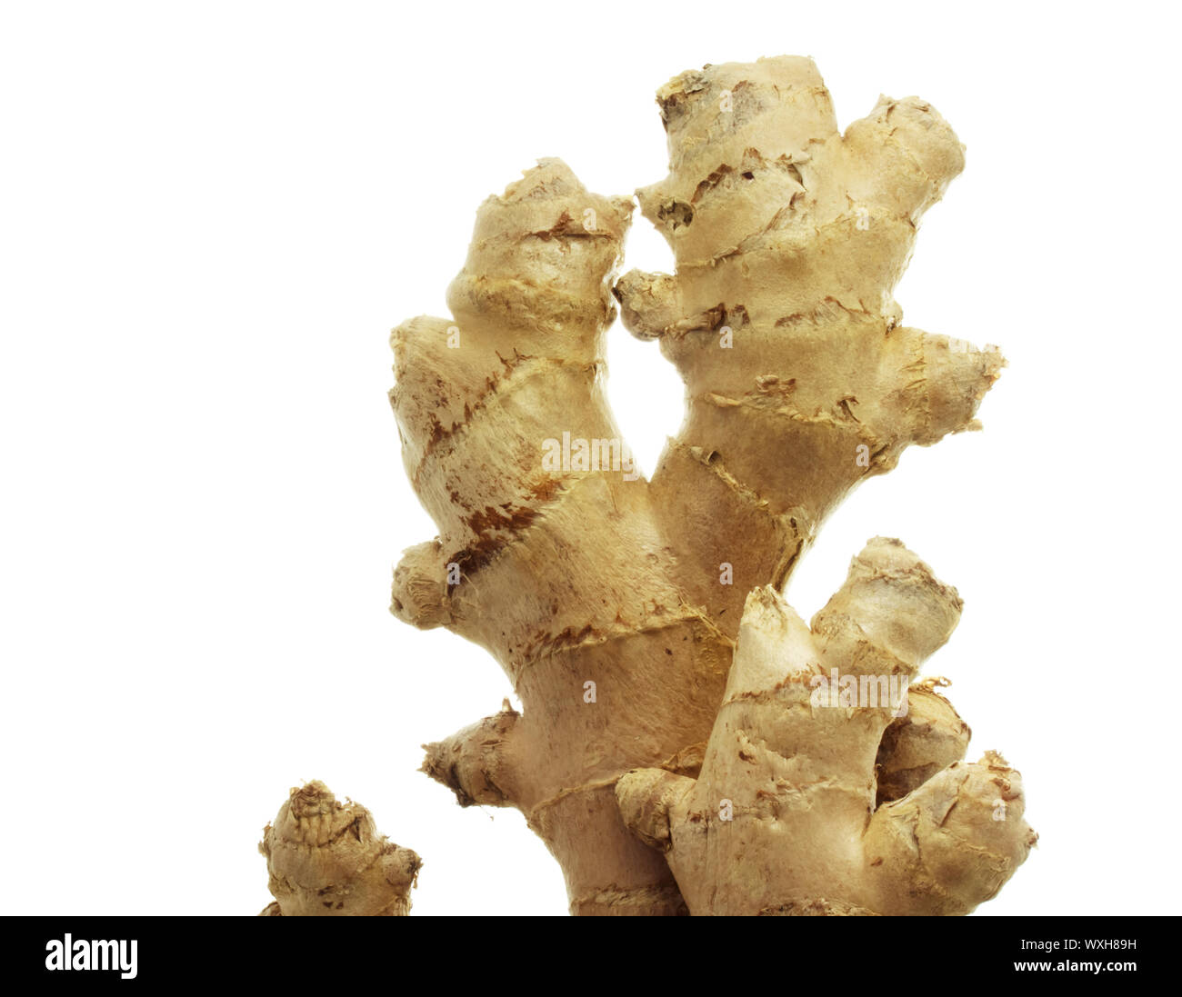 Ginger isolated on white background Stock Photo - Alamy