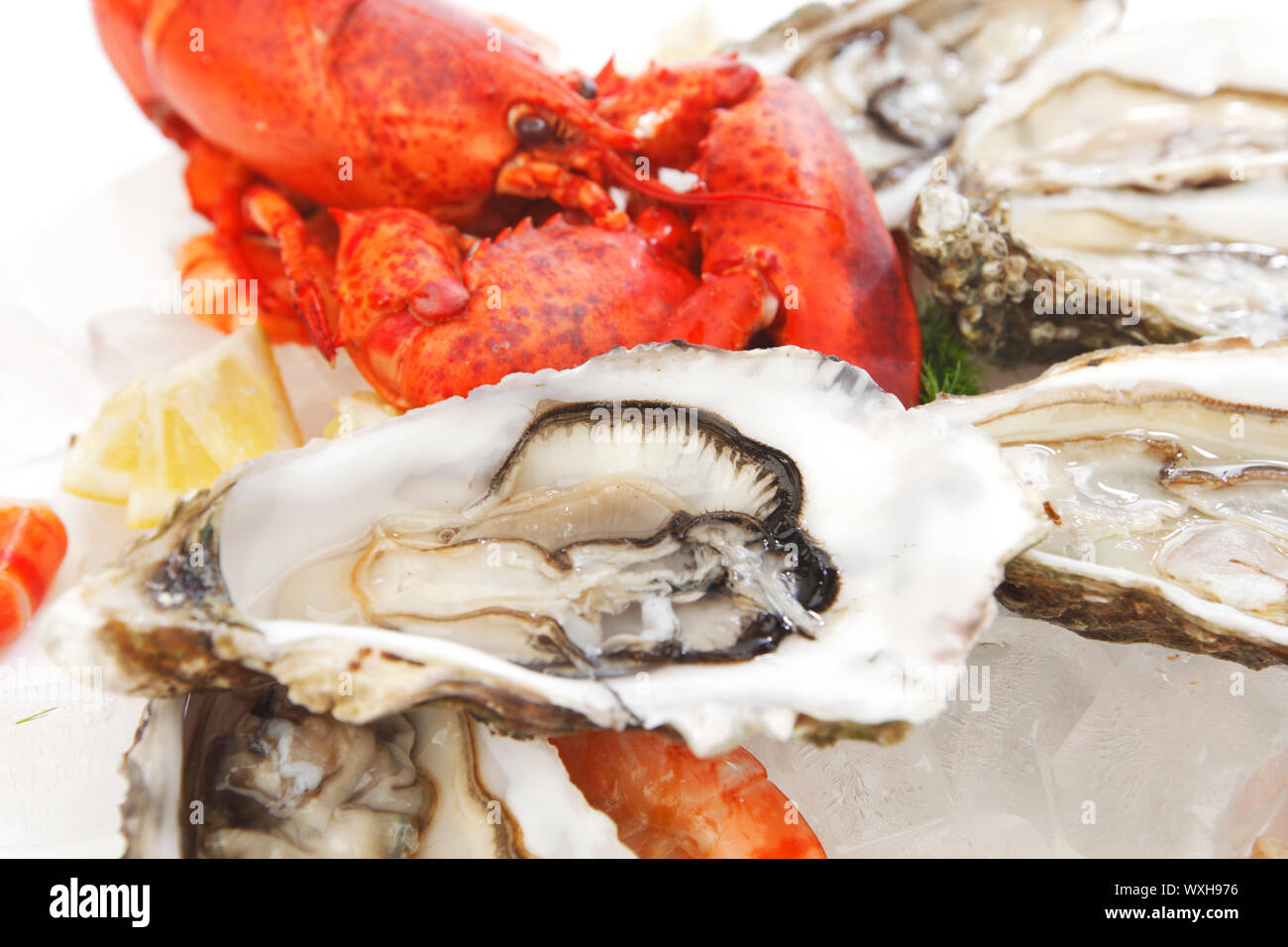 Various fresh seafood on white background Stock Photo - Alamy