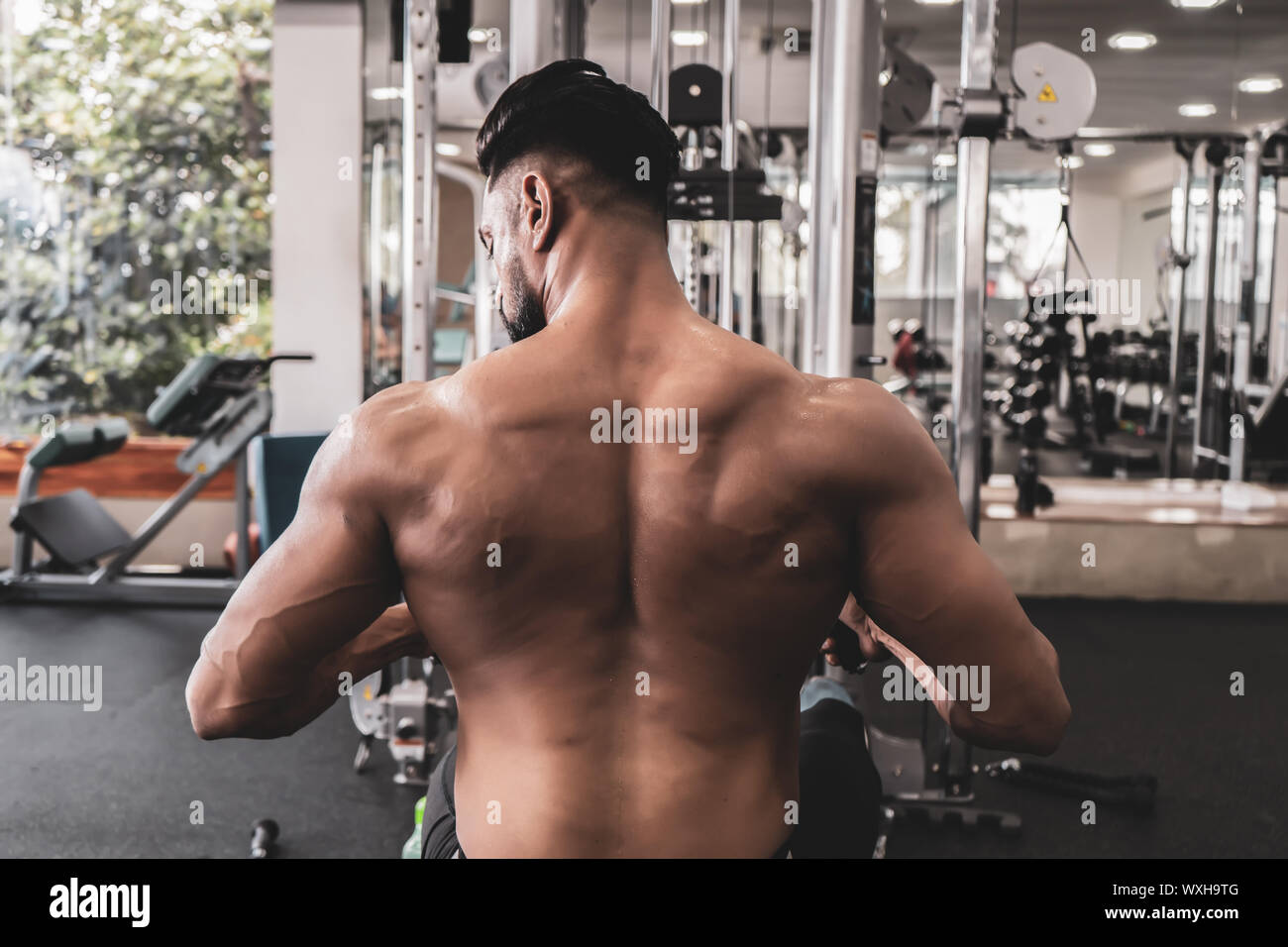 Athlete makes low cable pulley row seated in gym. Close back view Stock ...