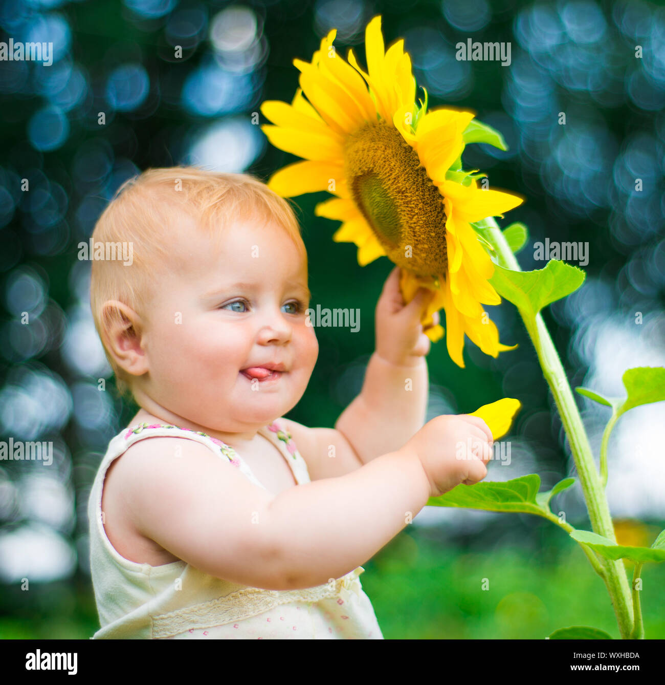 8969 hi-res stock photography and images - Alamy