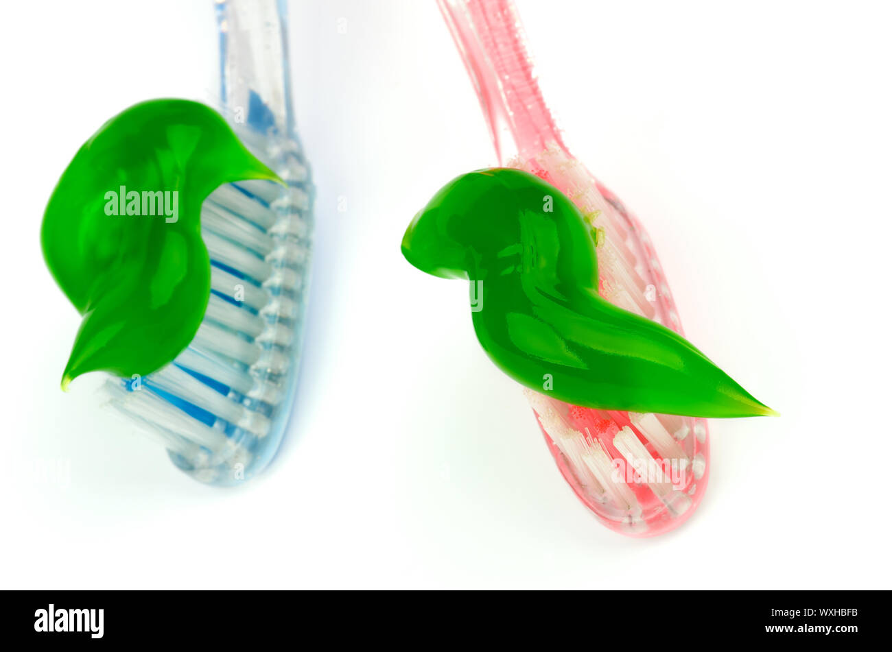 Green Herbal Toothpaste on Two Toothbrushes closeup on white background ...