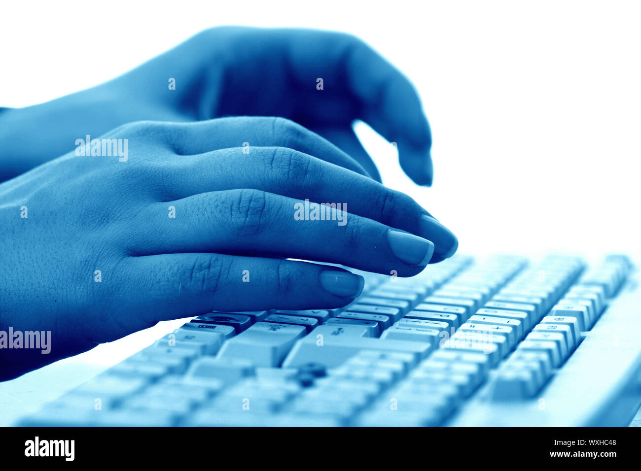 hands work on keyboard white background Stock Photo - Alamy