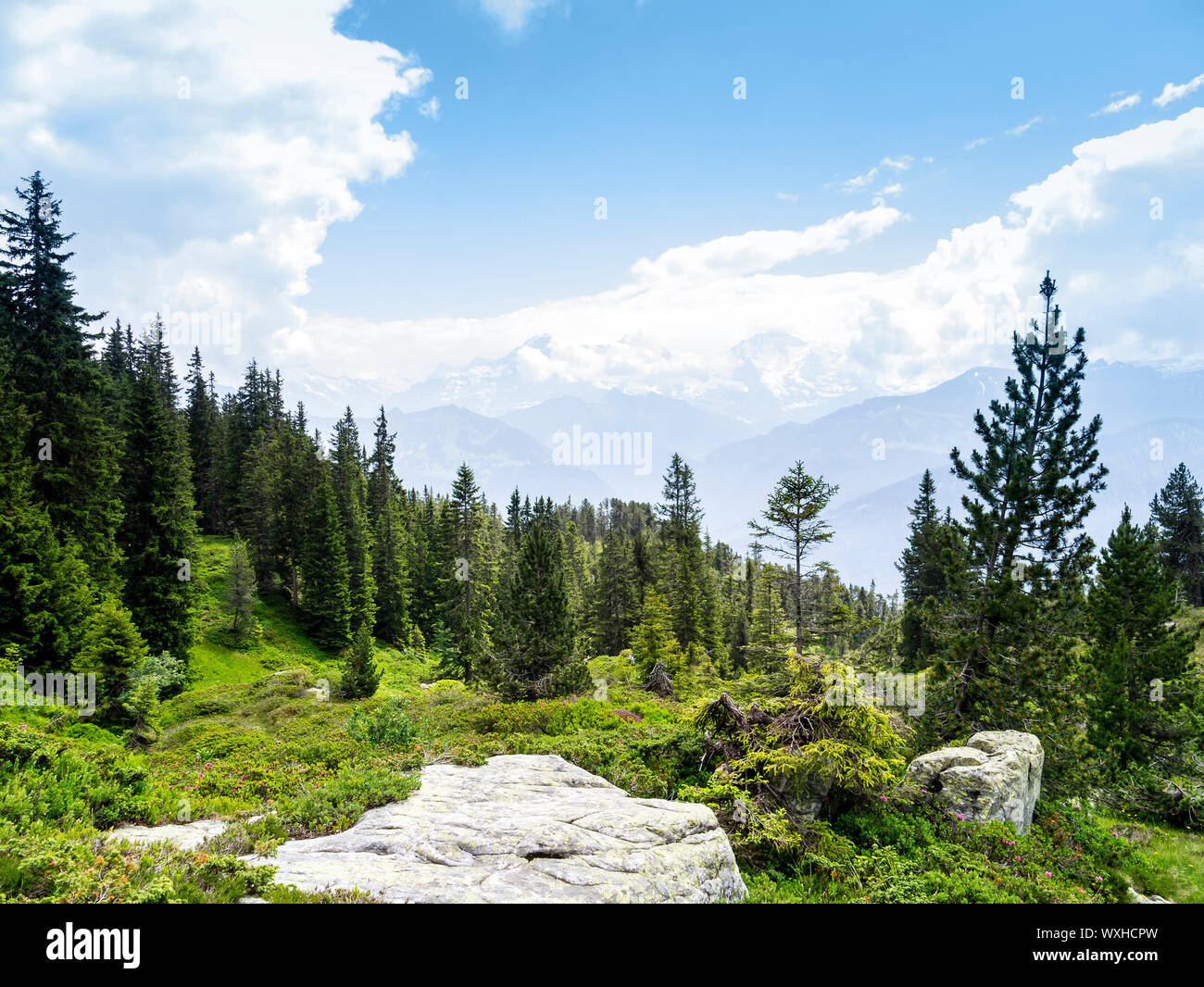 Panorama beatenberg hi-res stock photography and images - Alamy