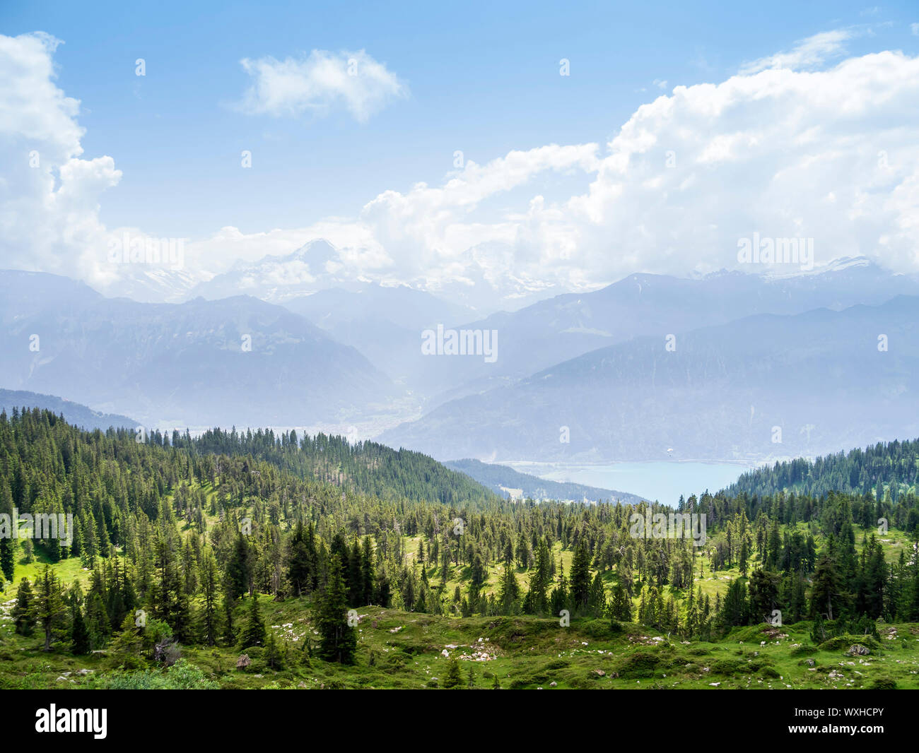 An image of a nice landscape at Beatenberg Switzerland Stock Photo - Alamy