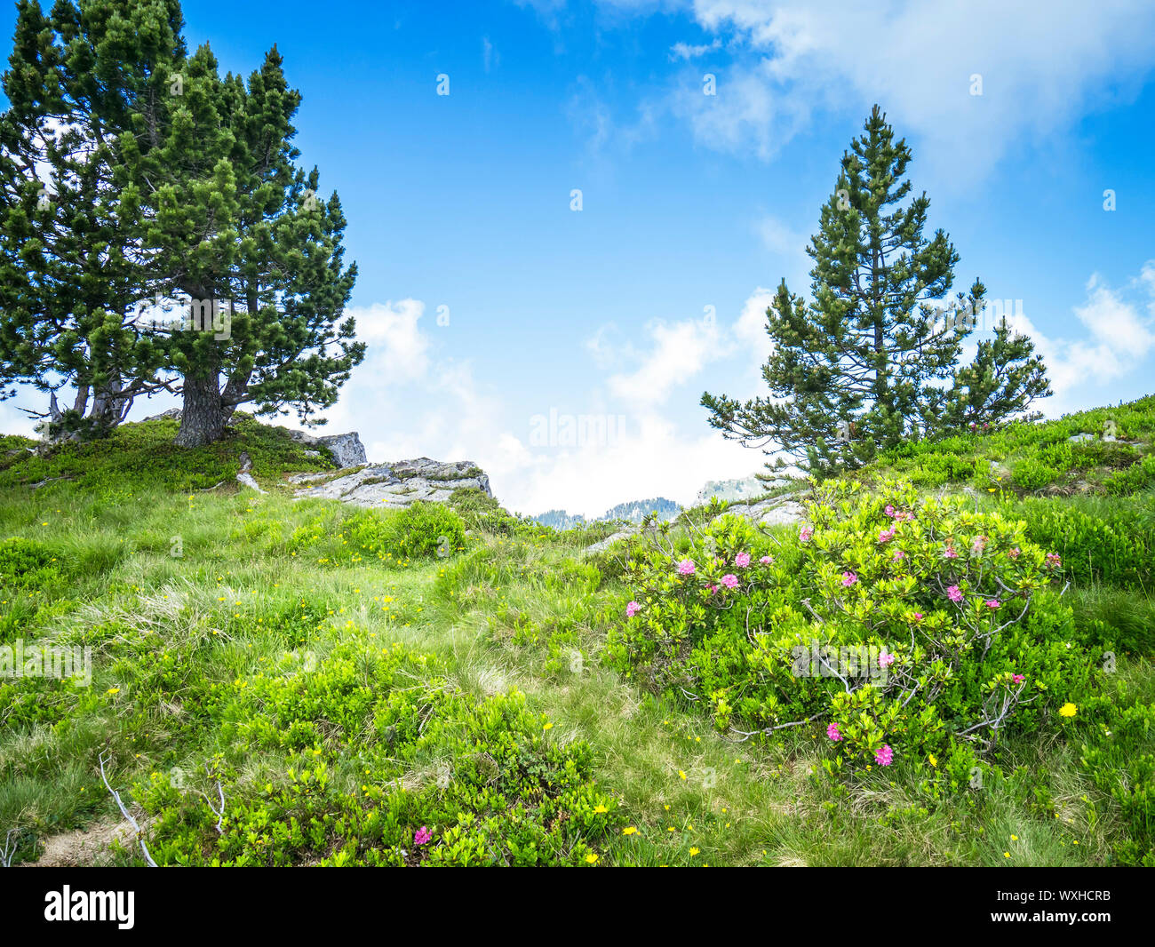 An image of a nice landscape at Beatenberg Switzerland Stock Photo - Alamy
