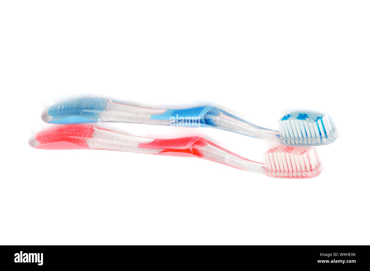 Red and Blue Transparent Toothbrushes isolated on white background ...