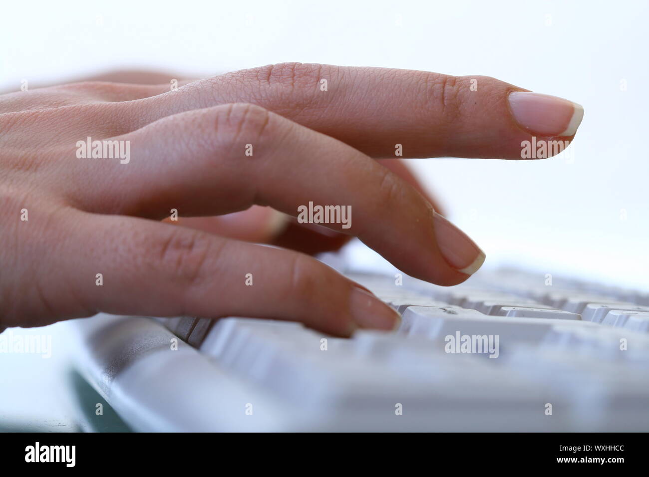 hands work on keyboard white background Stock Photo - Alamy