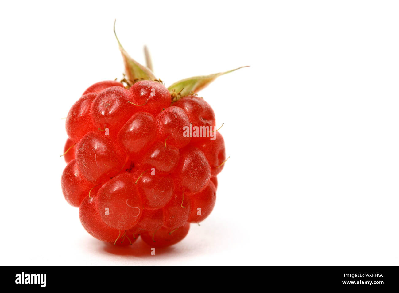 raspberry isolated on white background Stock Photo - Alamy