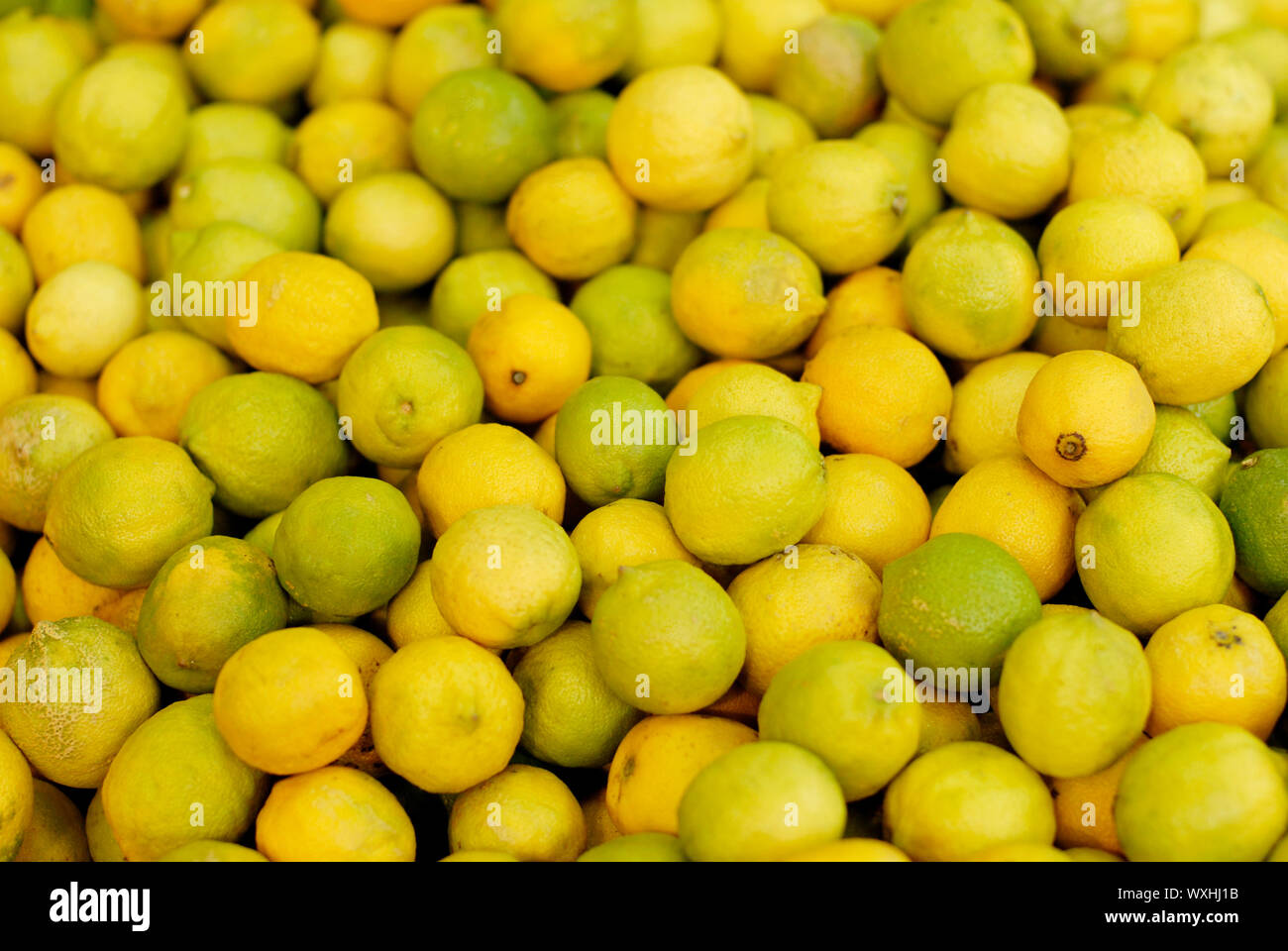 Fresh lemons at a market stall outside Stock Photo - Alamy