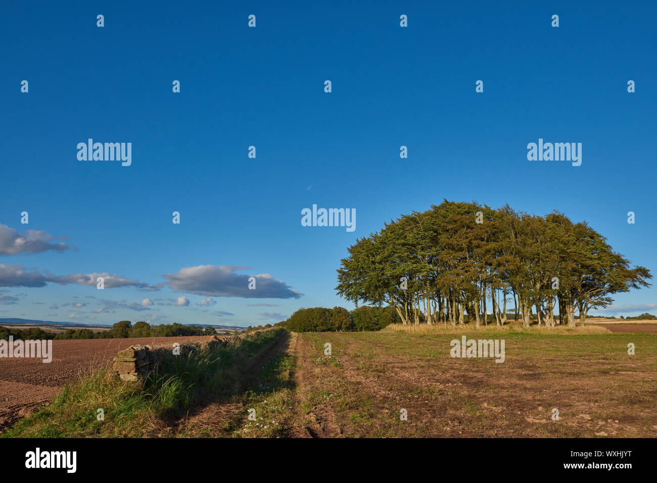 Strathmore valley hi-res stock photography and images - Alamy