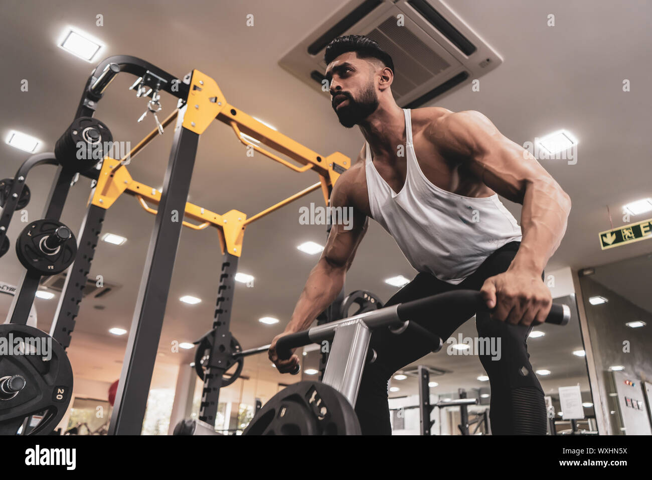 Muscular men exercising with weights. He is performing T bar rows for ...