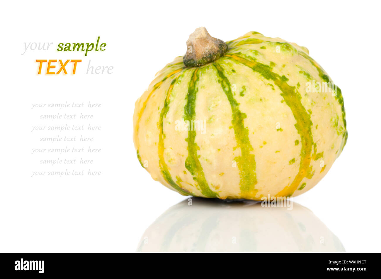 mini pumpkin isolated on white background Stock Photo - Alamy