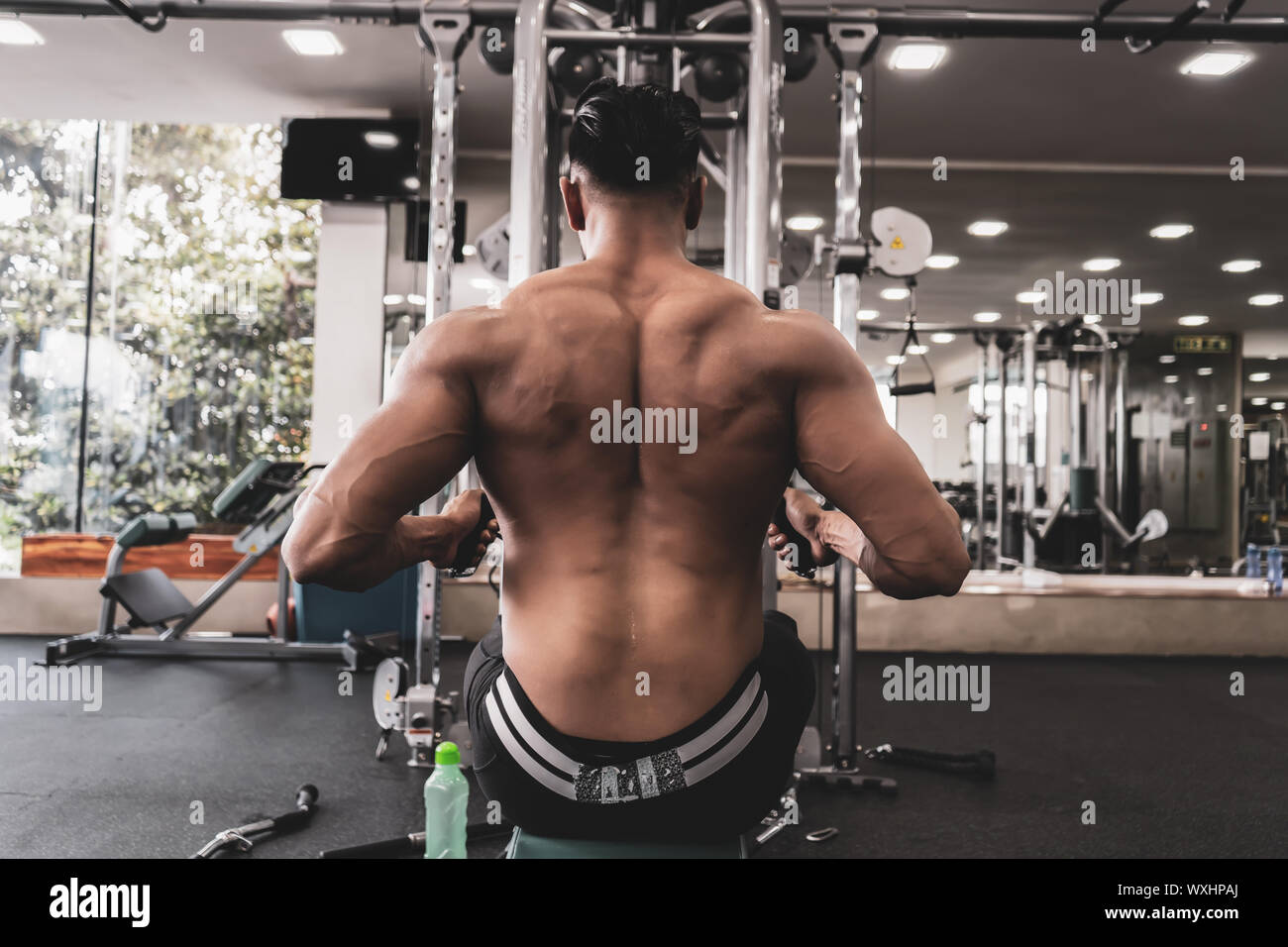 Athlete makes low cable pulley row seated in gym. Close back view Stock ...