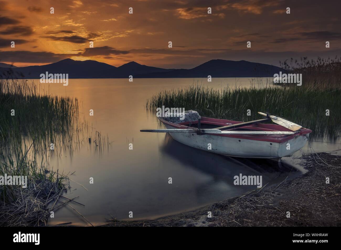 Sunset landscape brige wood forest Stock Photo - Alamy
