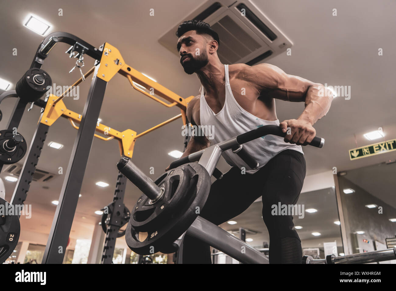 Muscular men exercising with weights. He is performing T bar rows for ...