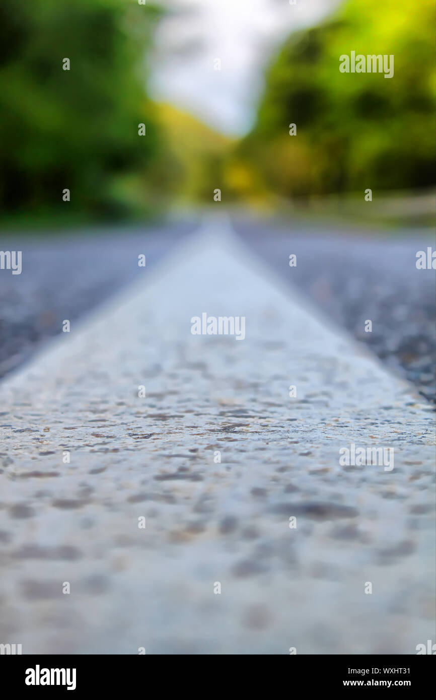 Smooth photo of a way with green tries Stock Photo - Alamy
