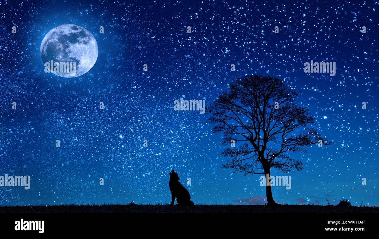 Tree moon star hi-res stock photography and images - Alamy