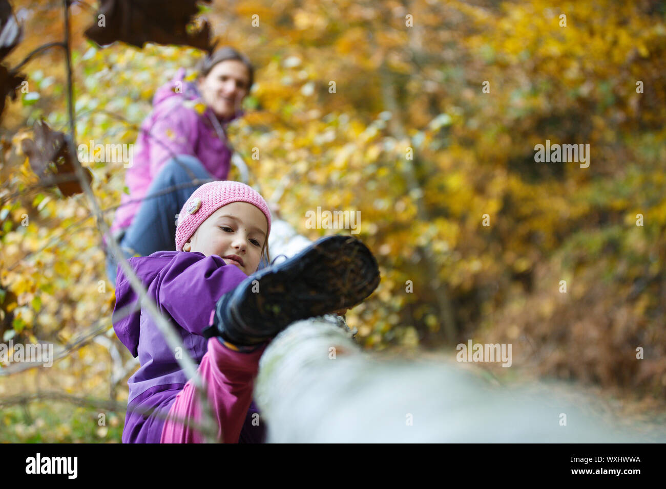 Mother daughter climbing tree hi-res stock photography and images - Alamy