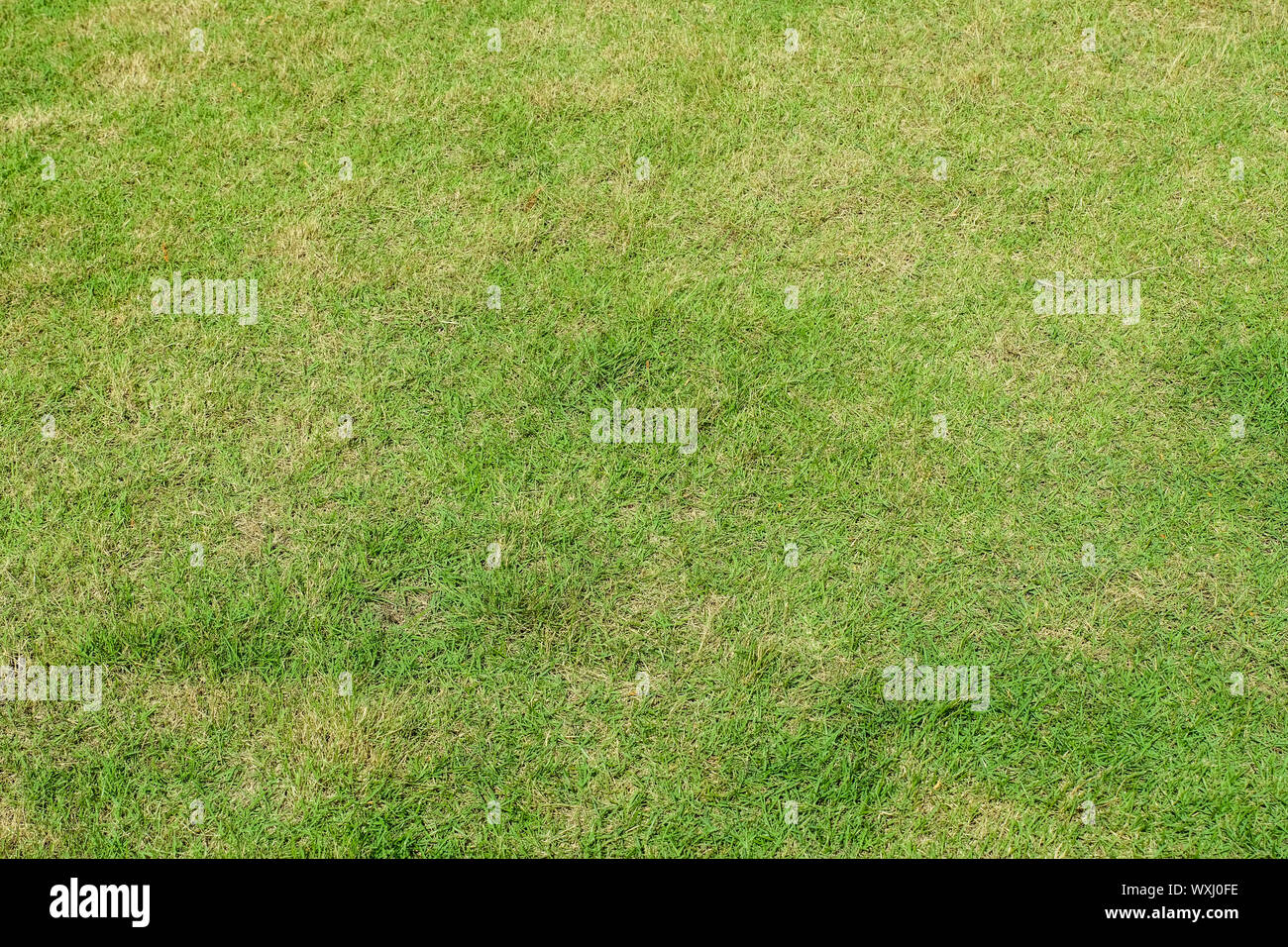 Dry soccer field hi-res stock photography and images - Alamy