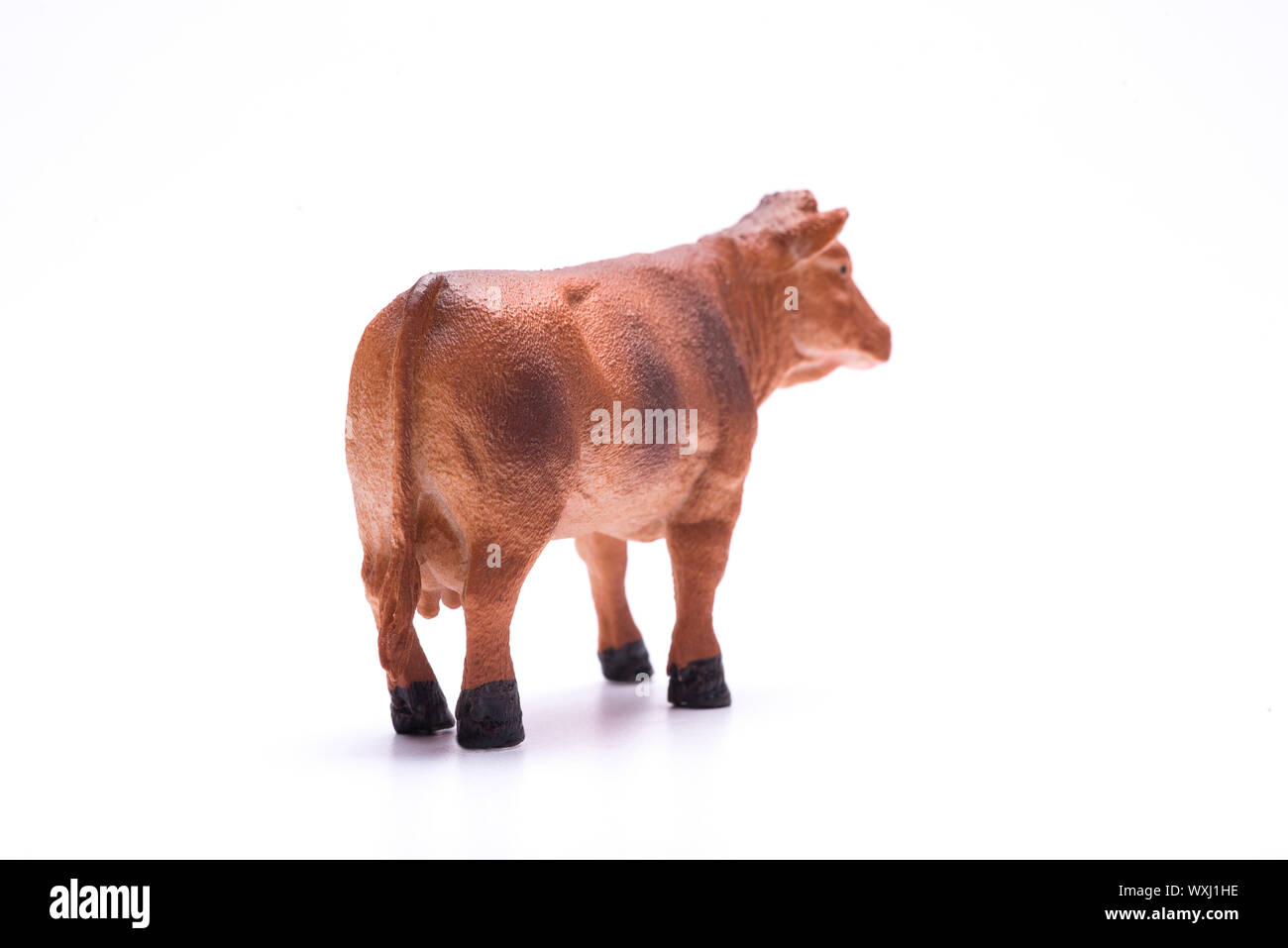 Toy miniature cow on a isolated white background Stock Photo - Alamy