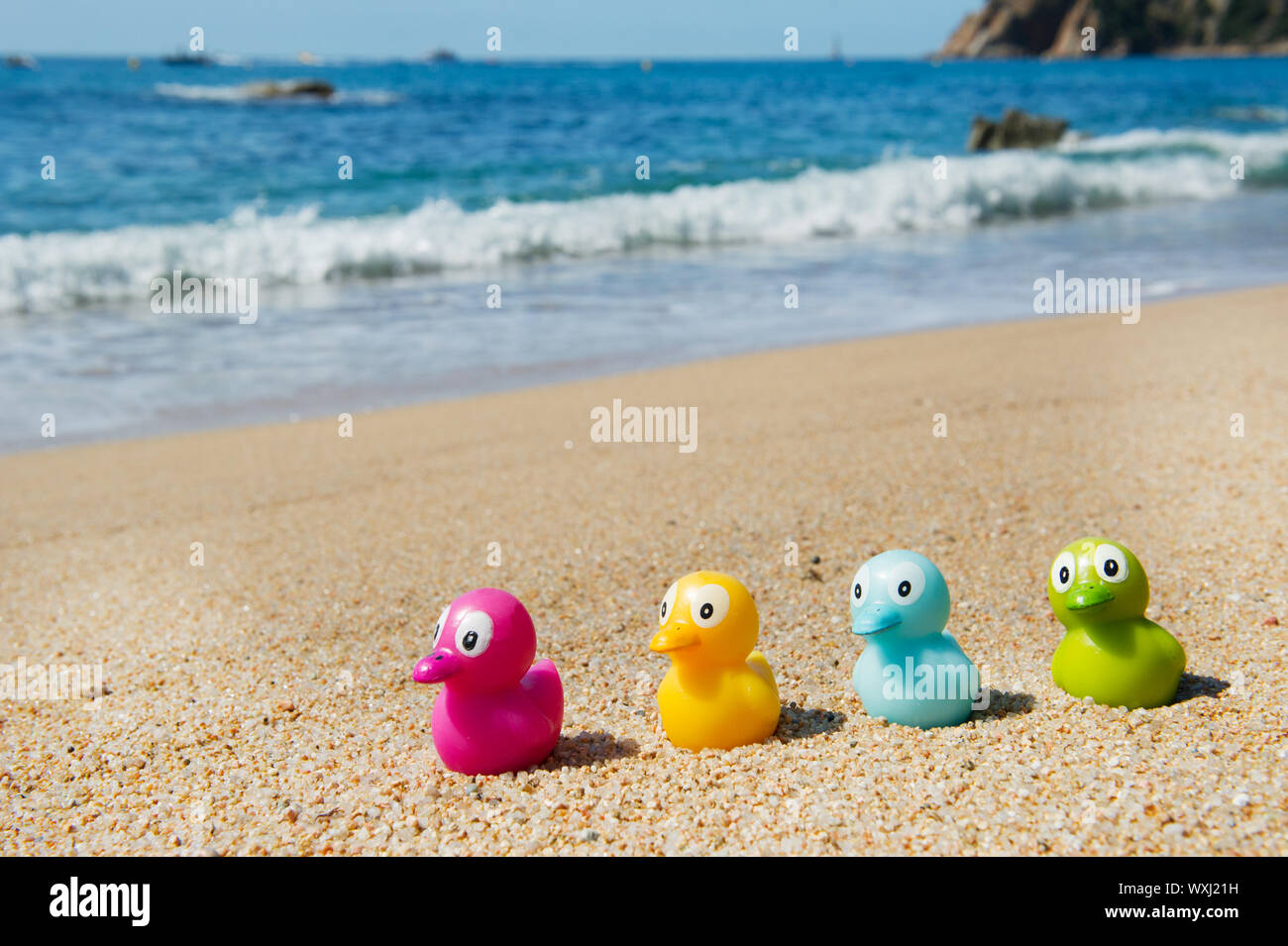 Ducks in the sand hi-res stock photography and images - Alamy