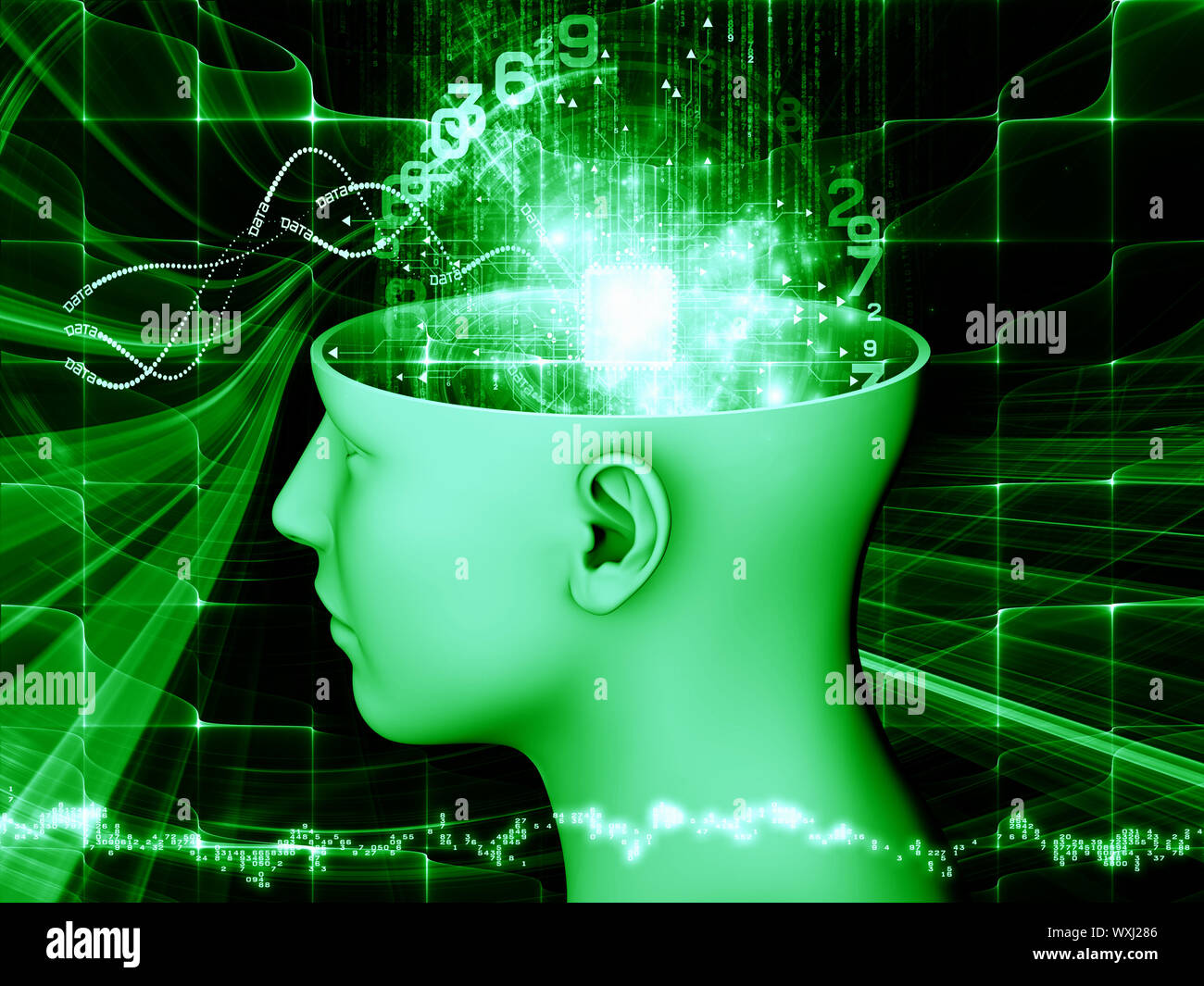 Composition of human head and symbolic elements on the subject of human ...