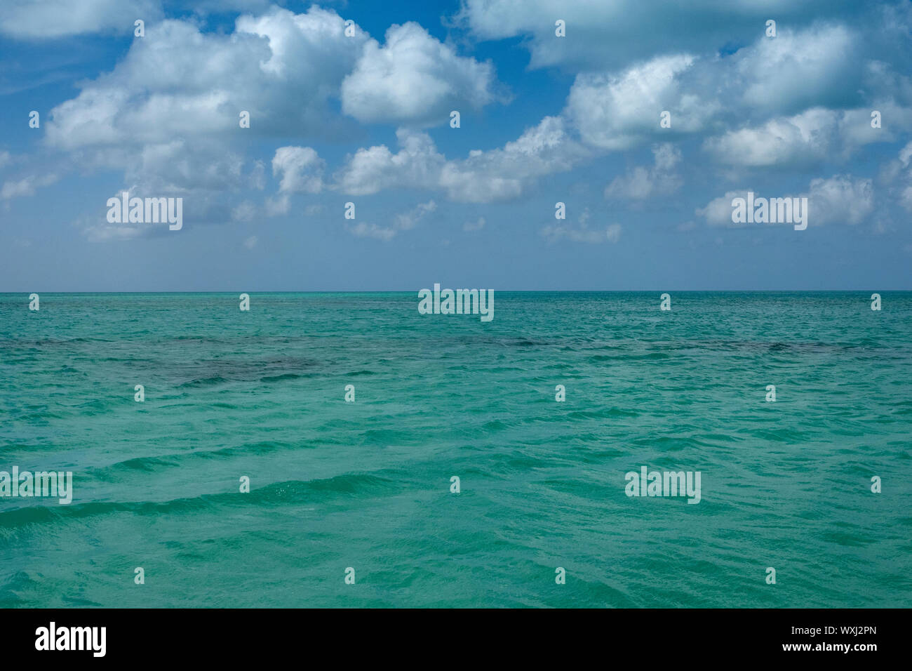 Turquoise, Caribbean sea with horizon half and half with blue sky and ...