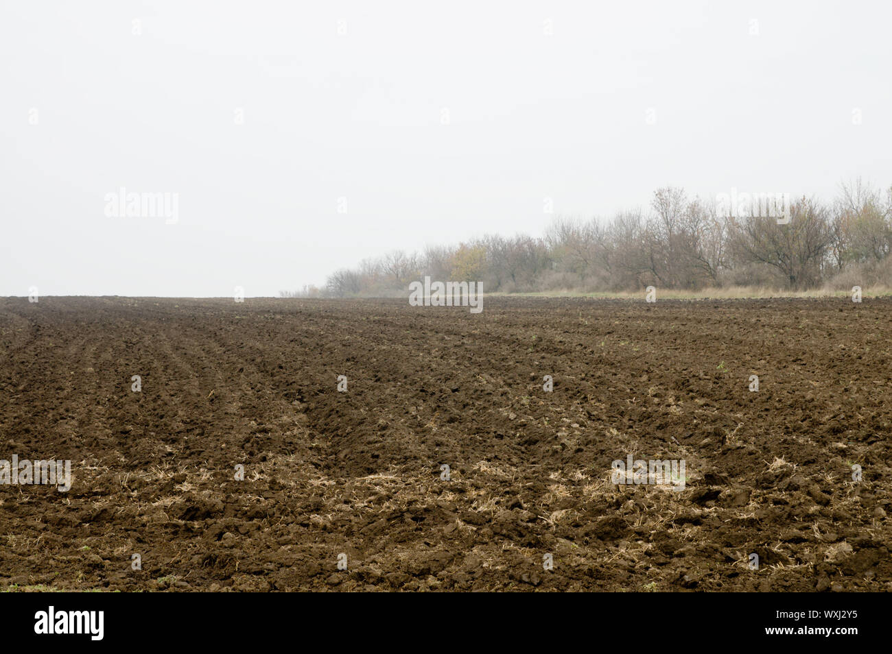 Fallow field drought hi-res stock photography and images - Alamy