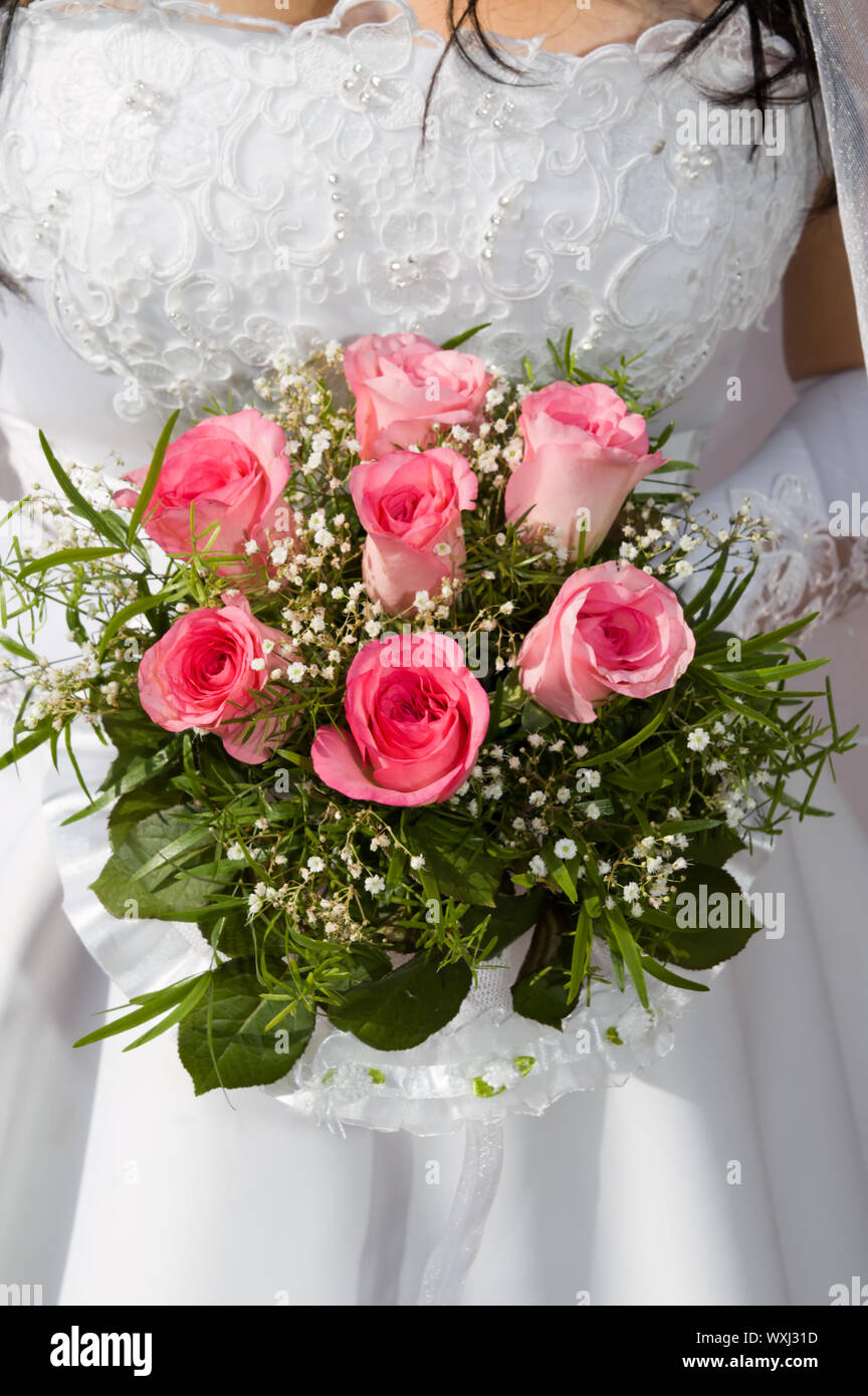 pink roses are in the hands of fiancee Stock Photo - Alamy