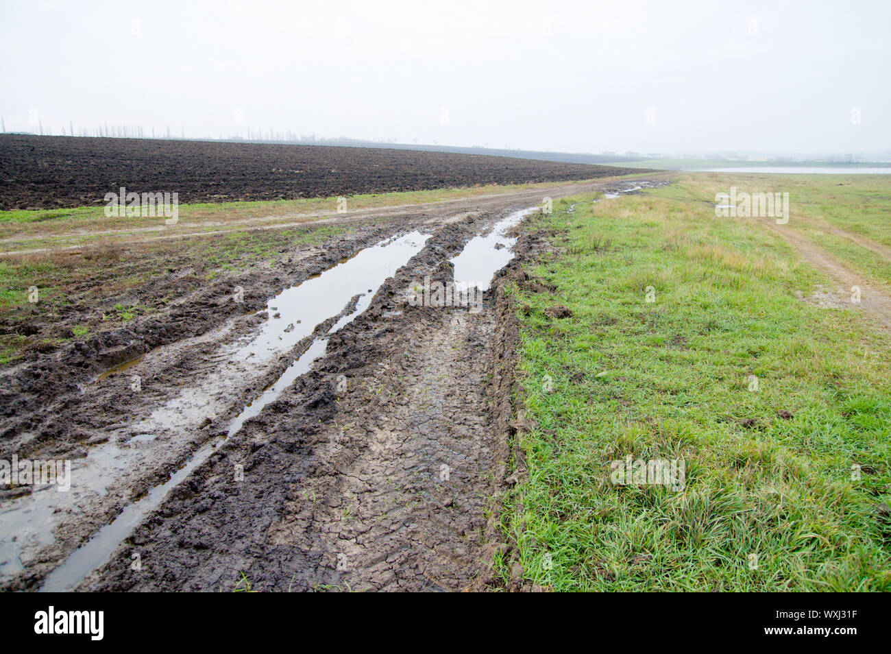 rural road after rain Stock Photo - Alamy