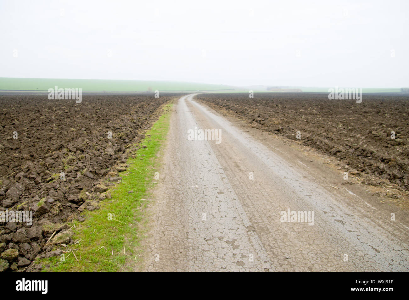 rural road between two fields Stock Photo - Alamy