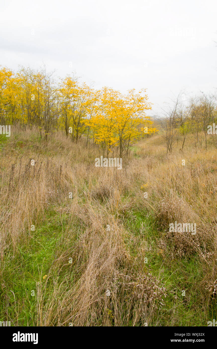 Yellow gully road hi-res stock photography and images - Alamy