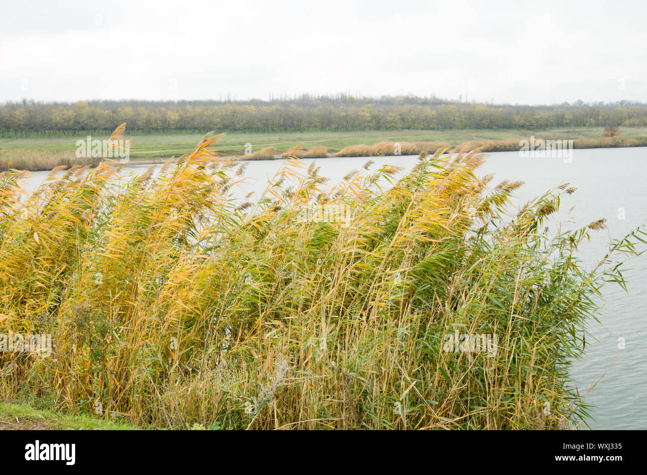 Rushy river hi-res stock photography and images - Alamy