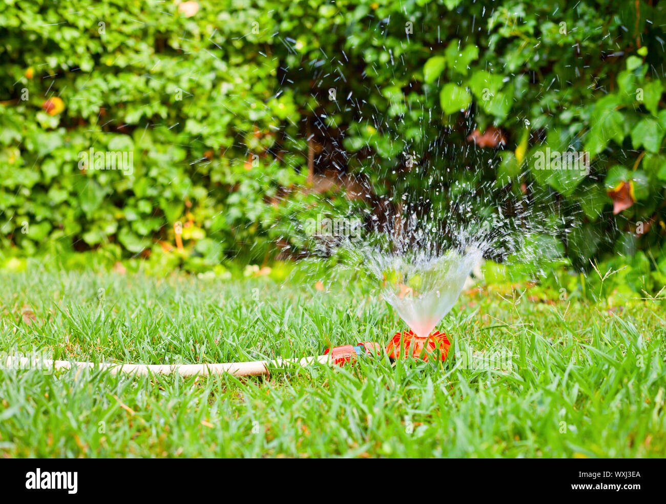 Sprinkler in action spraying hi-res stock photography and images - Alamy