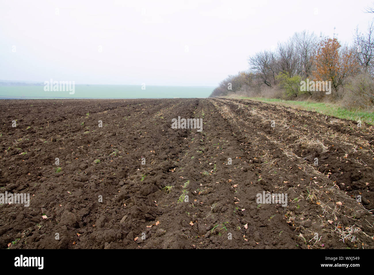 Fallow field drought hi-res stock photography and images - Alamy