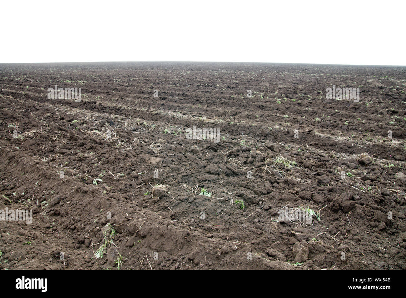 the fallow field is in autumn Stock Photo - Alamy