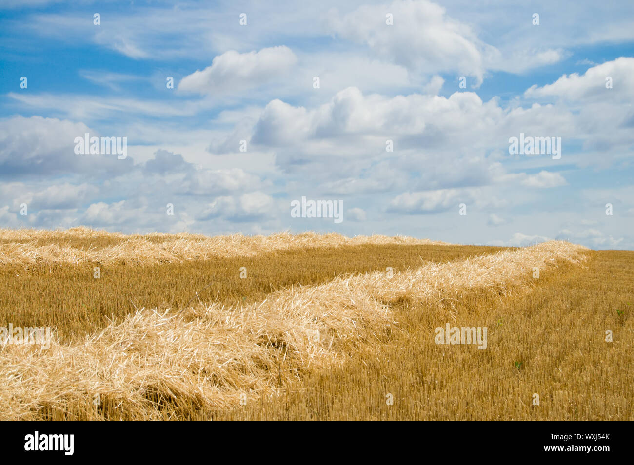 Windrows hi-res stock photography and images - Alamy