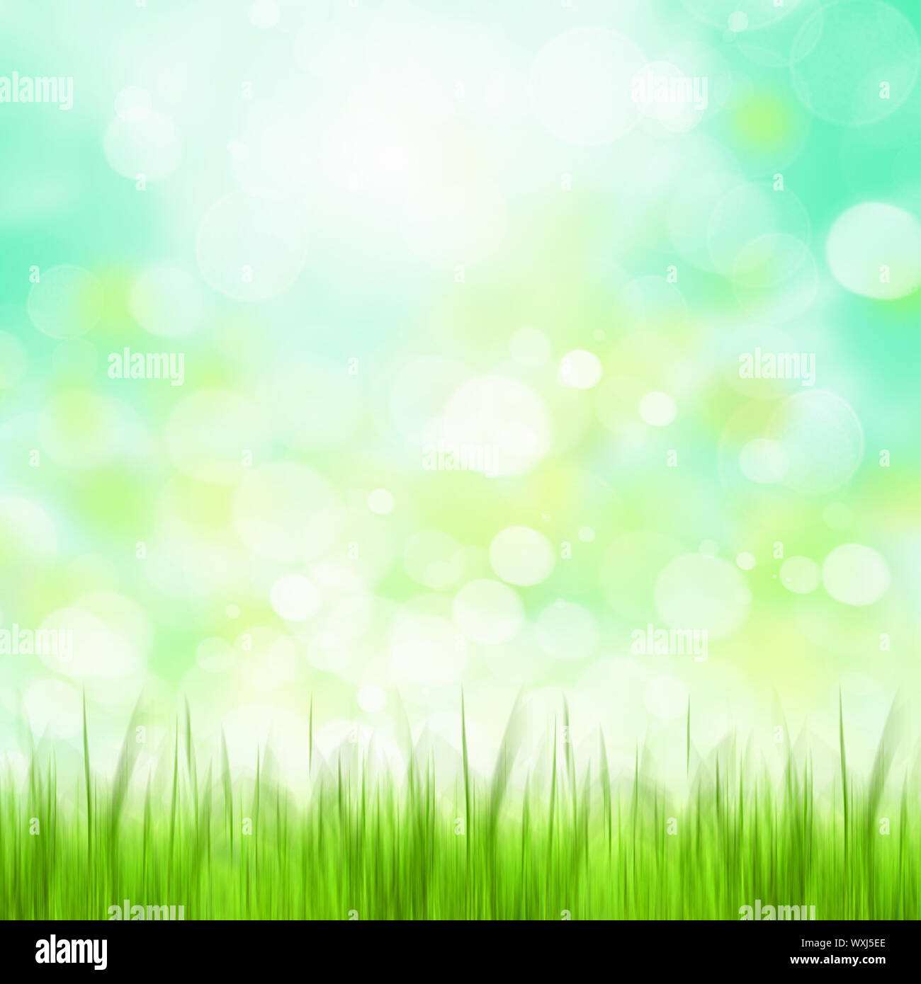 Abcf hi-res stock photography and images - Alamy