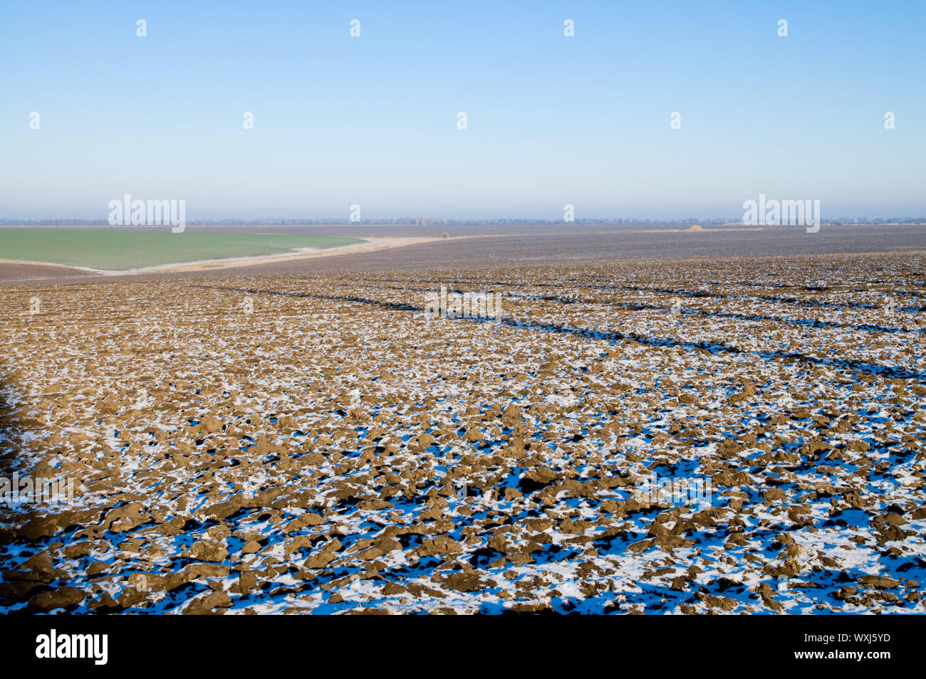first snow on field Stock Photo - Alamy