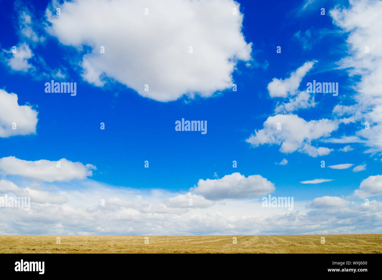 Locality perspective hi-res stock photography and images - Alamy
