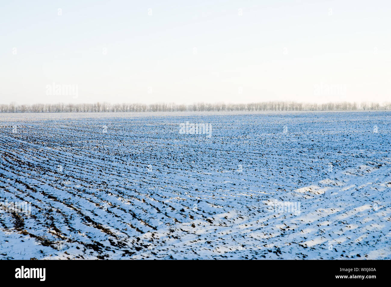 cultivated field under snow Stock Photo - Alamy