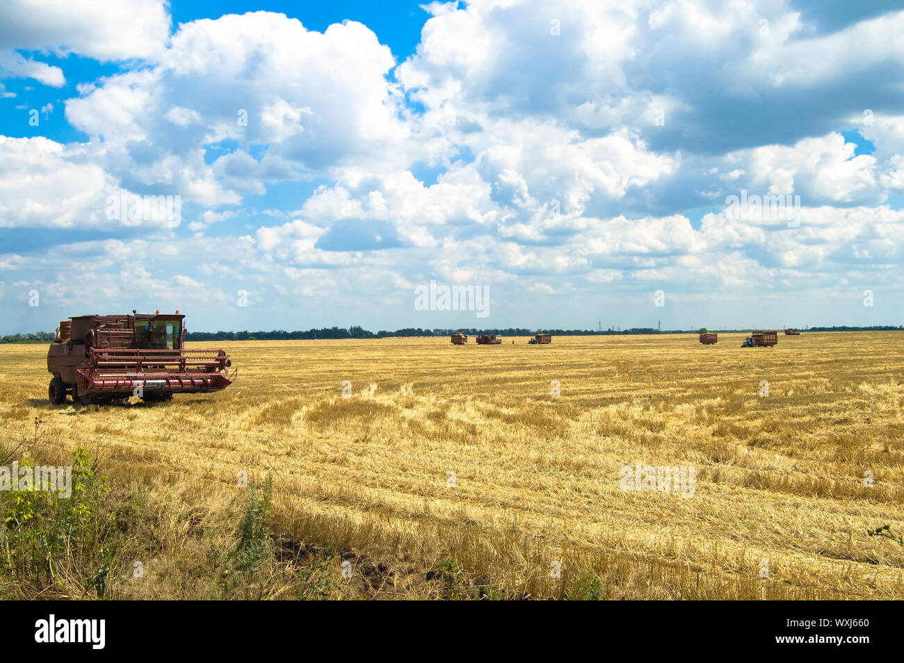 combine harvester working a wheat field Stock Photo - Alamy
