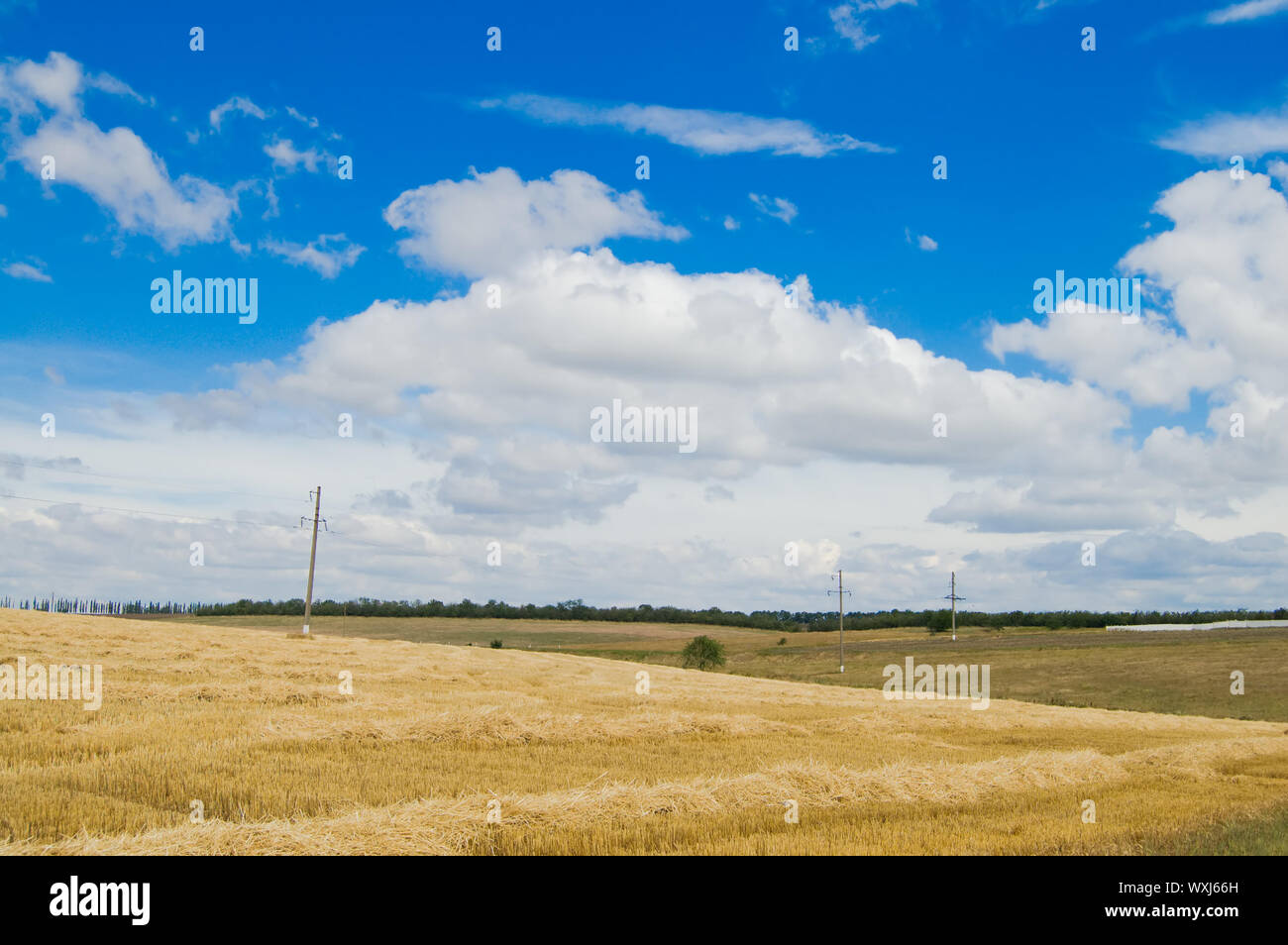 steppe view in summer Stock Photo - Alamy