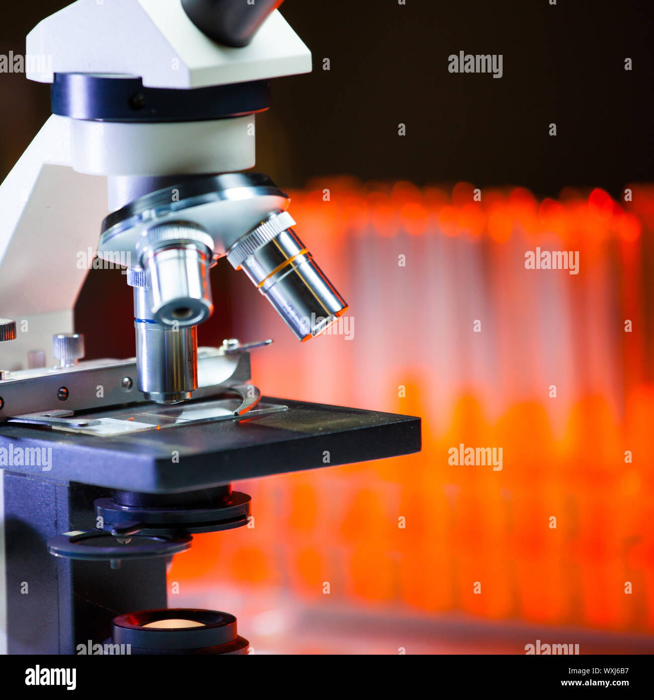 Close up of microscope lenses Stock Photo - Alamy