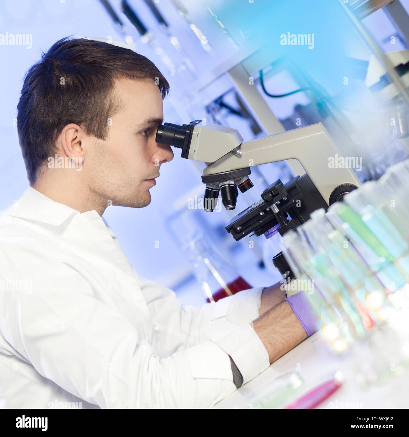 Young male researcher looking at the microscope slide in the life ...