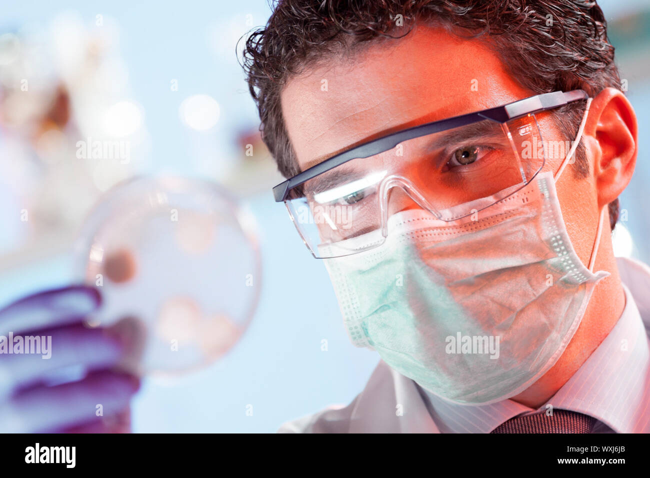Scientist observing petri dish hi-res stock photography and images - Alamy