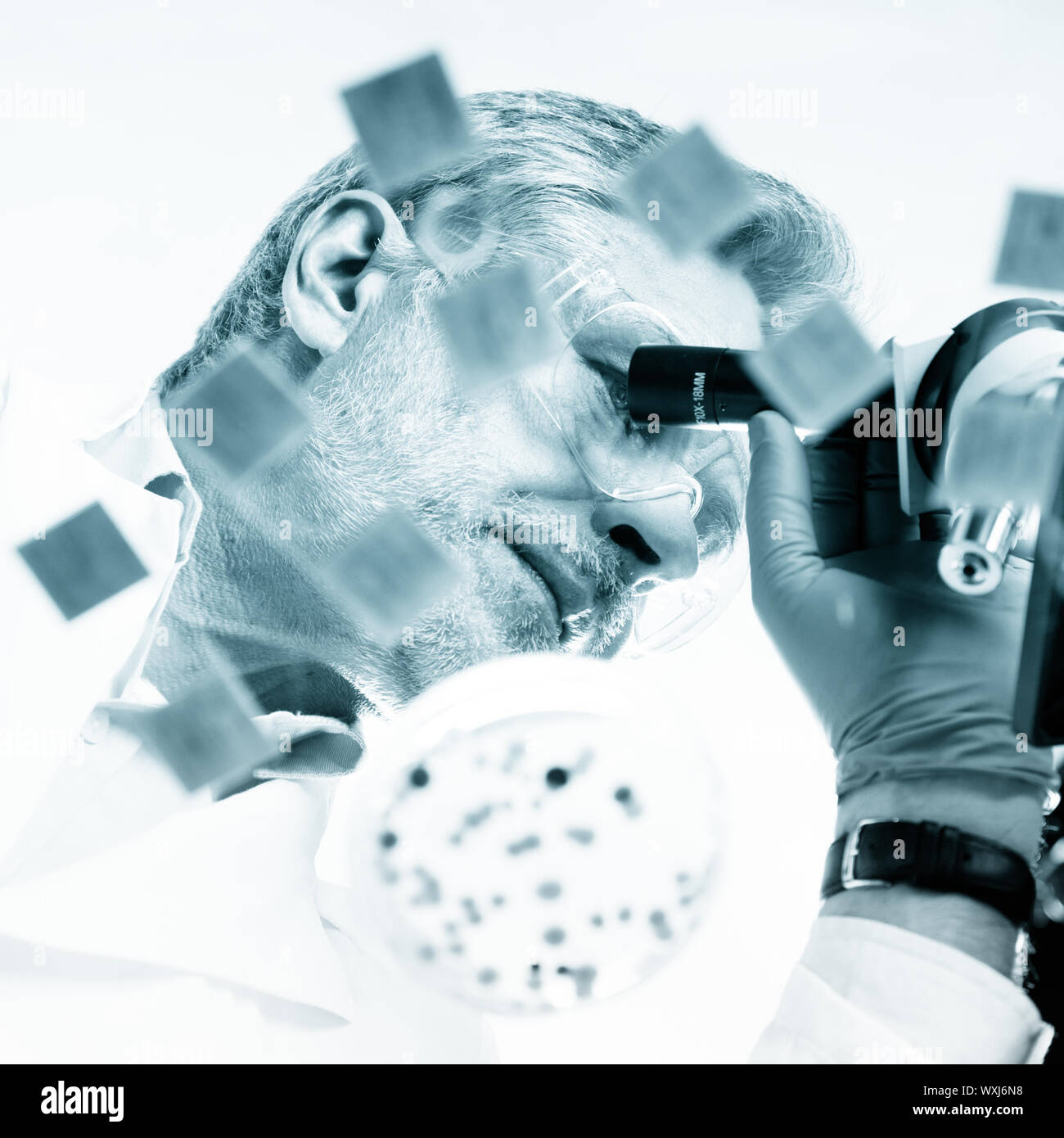 Focused senior life science professional routine screening the ...