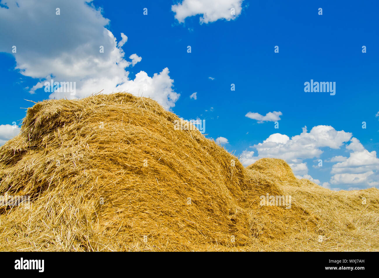 stack of straw on a background blue sky with clouds Stock Photo - Alamy
