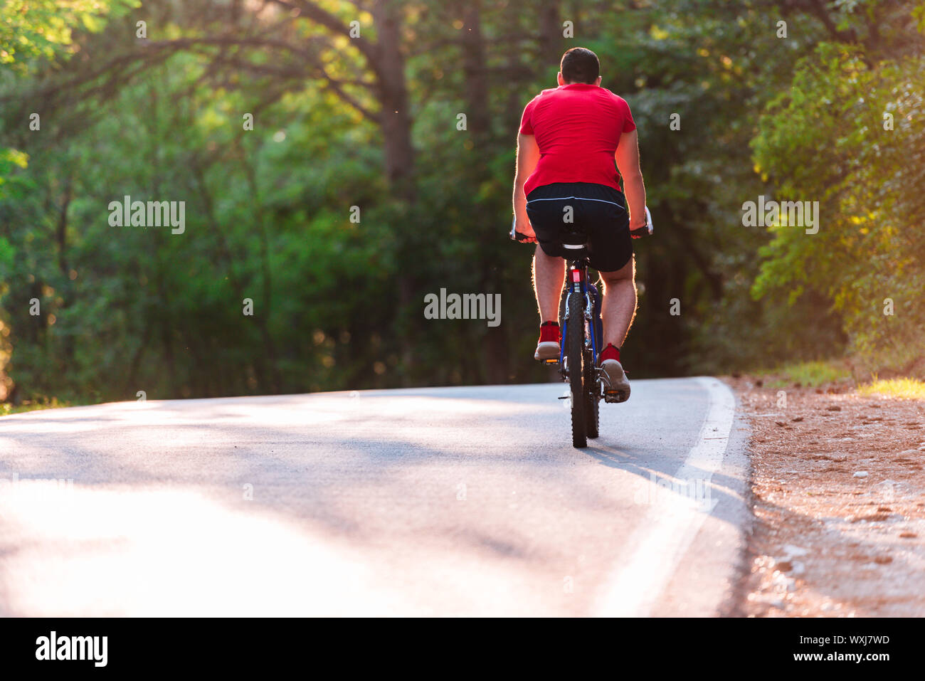 Male cyclist riding his bike on sunset on a road through deep woods ...