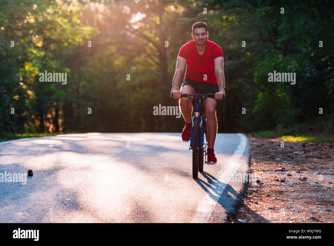 Male cyclist riding his bike on sunset on a road through deep woods ...
